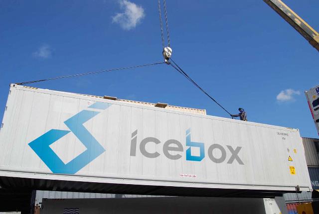 WHAT WE DO – Magsaysay Shipping and Logistics