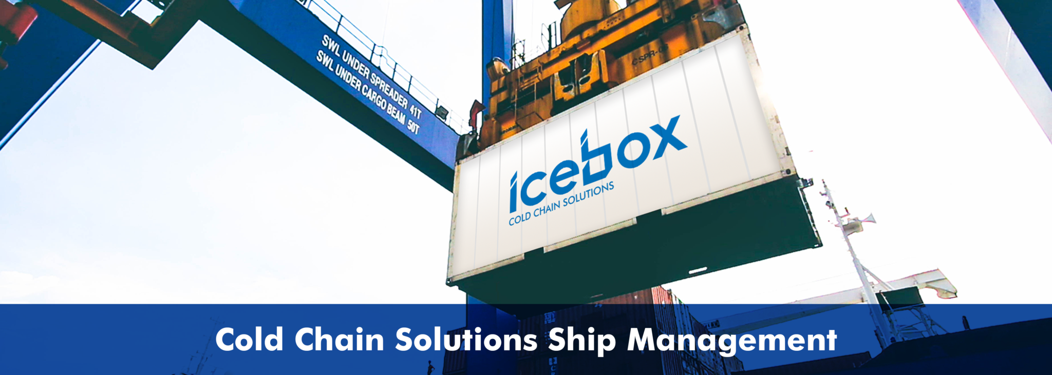 WHAT WE DO – Magsaysay Shipping and Logistics