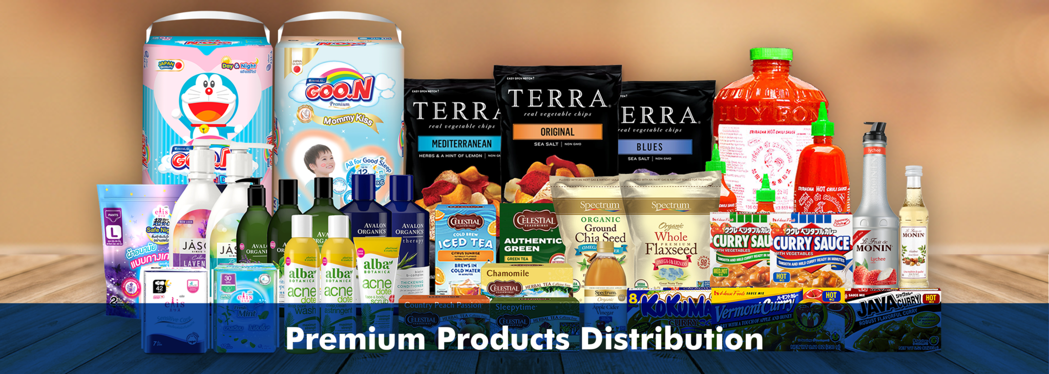 WHAT WE DO – Magsaysay Shipping and Logistics