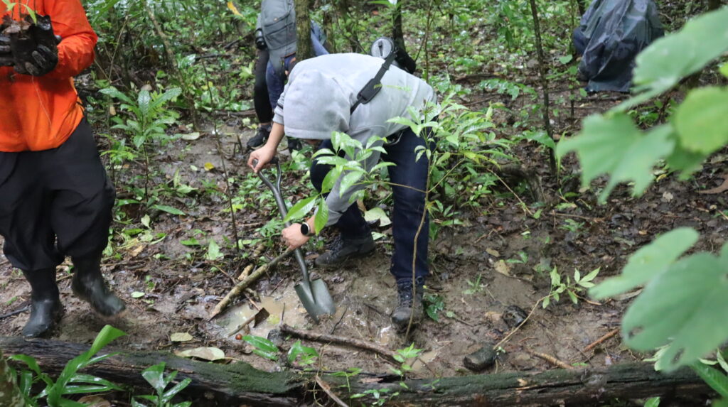 OLSI Takes Part in the Million Trees Initiative – Magsaysay Shipping ...